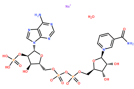 698999-85-8 Beta-nicotinamide adenine dinucleotide phosphate sodium salt hydrate, oxidized form ...